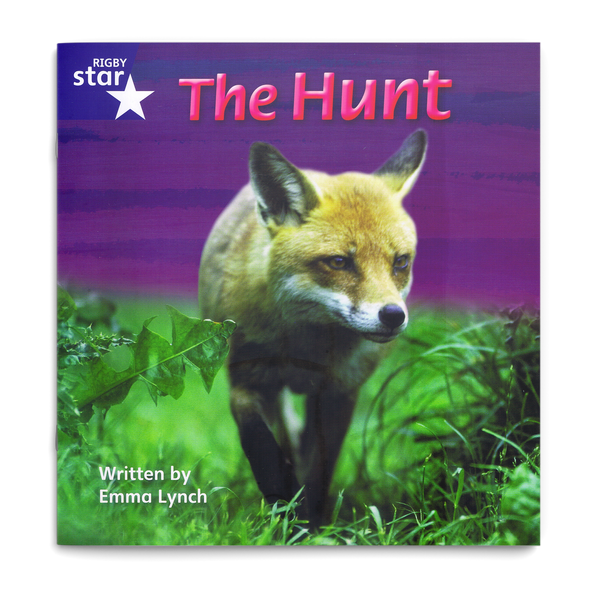 Rigby Star Phonics - Set of 67 decodable books – EdVenture Resources (S ...